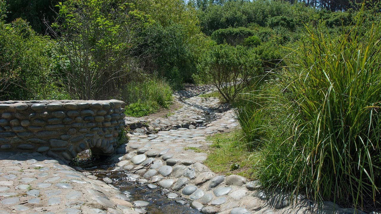 Exploring El Polín Spring in the Presidio of San Francisco - YouTube