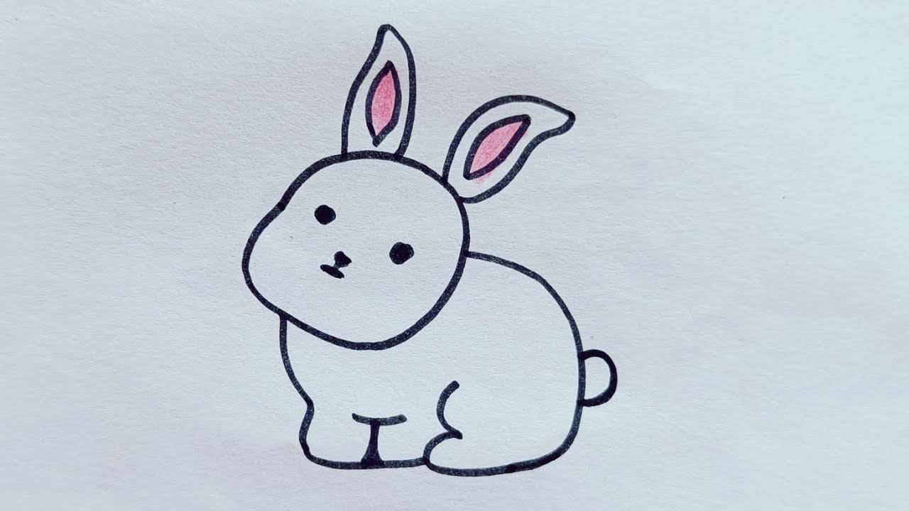 Easy and cute Rabbit 🐇🐇 drawing ।। Rabbit drawing tutorial।। Rabbit ...