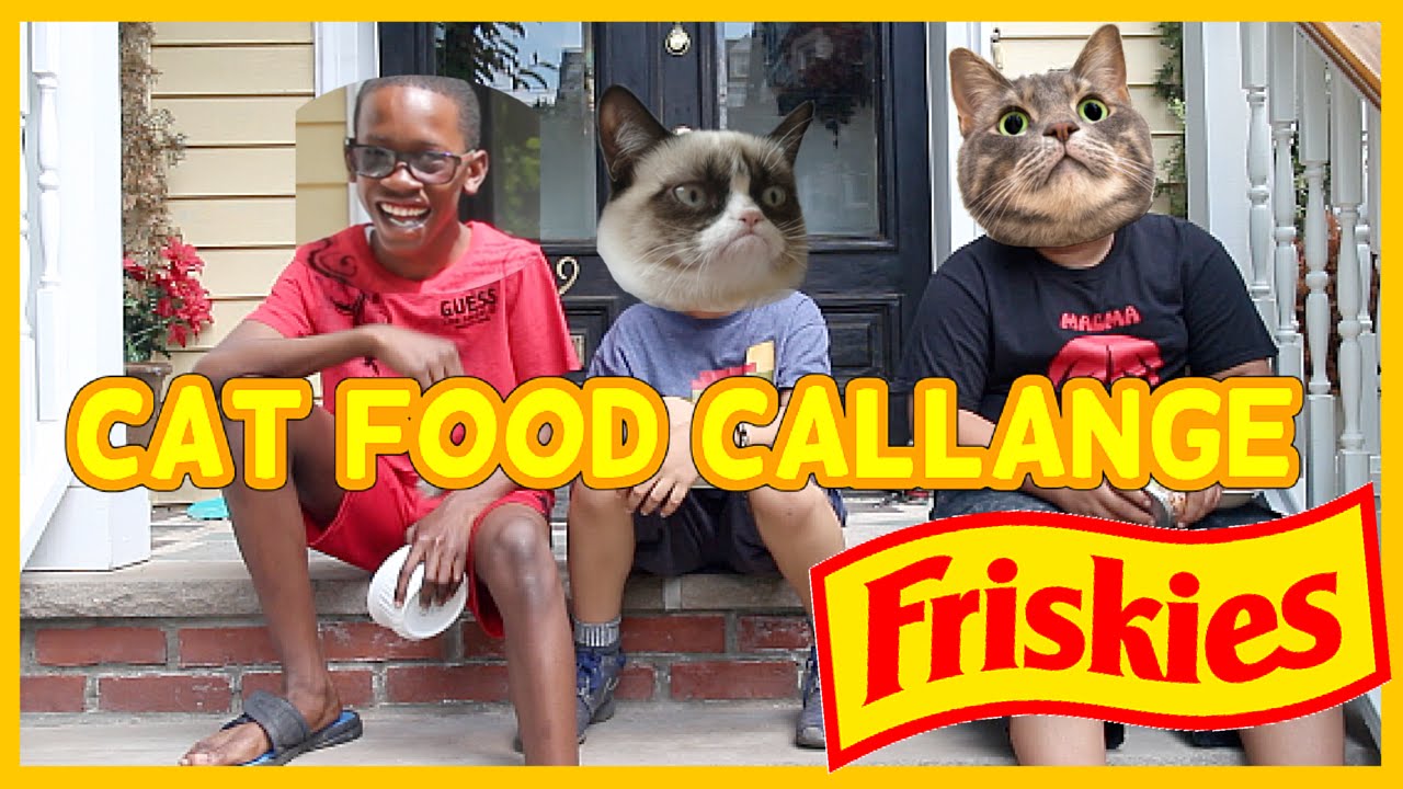 CAT FOOD CHALLENGE!!! - YouTube