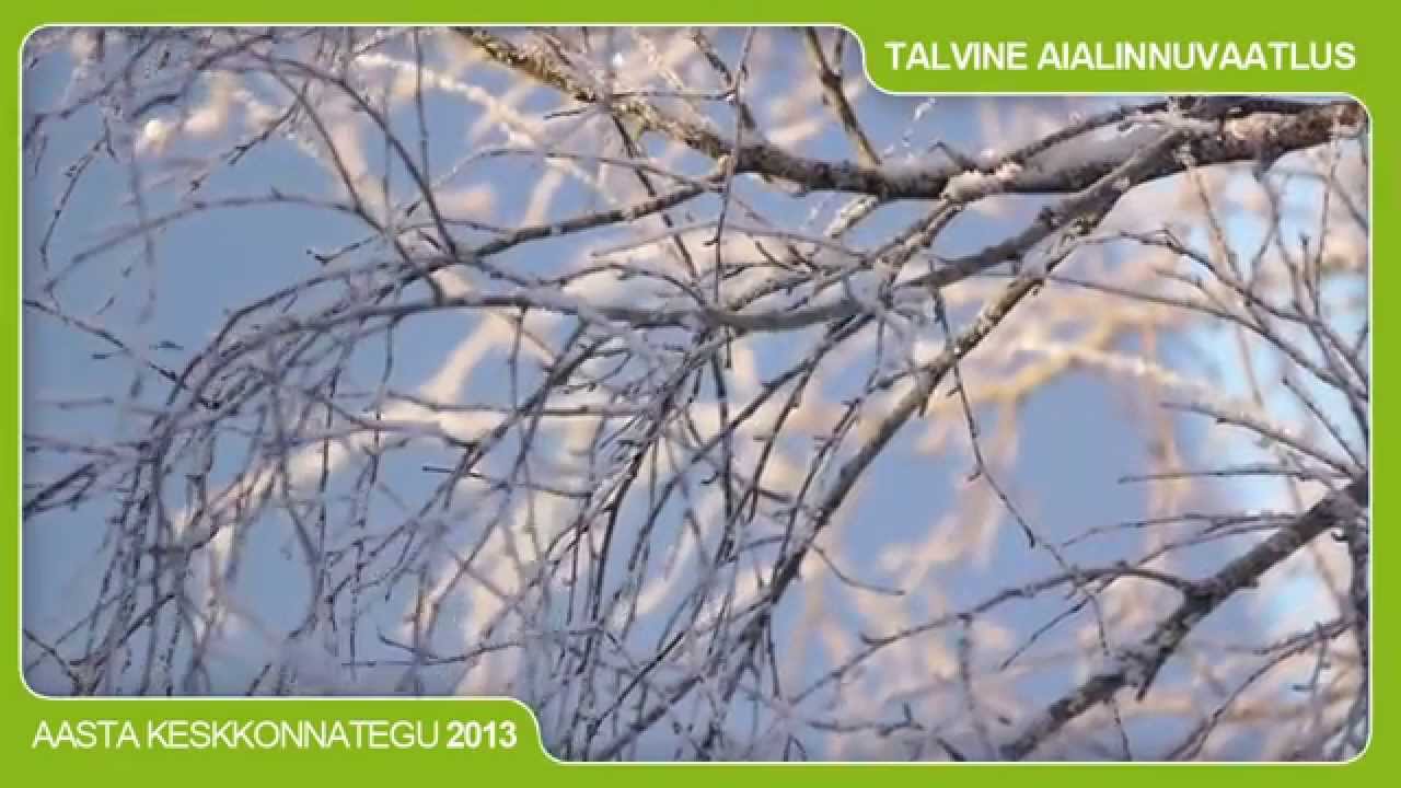 Keskkonnategu 2013 - MTÜ Eesti Ornitoloogiaühingu projekt „Talvine ...