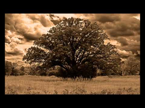 He Grew the Tree - YouTube