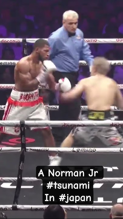 Brian Norman Jr def Jin Sasaki by 5th Rd KO to keep the WBO 147 LB title. #boxing #fight # ...