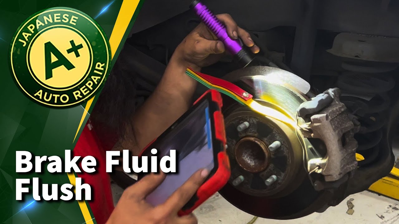Brake Fluid Flush | A+ Japanese Auto Repair | San Carlos - YouTube