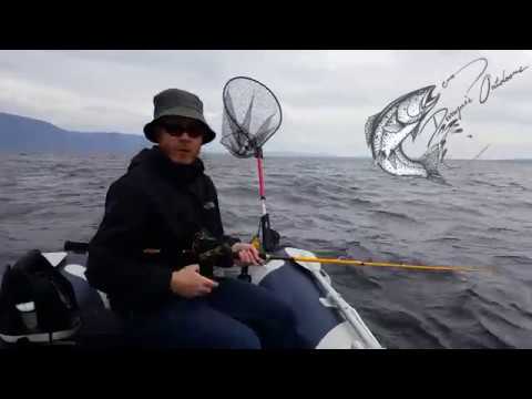 Drive - Catch - Net - Lake Trout, Stuart Lake BC. - YouTube