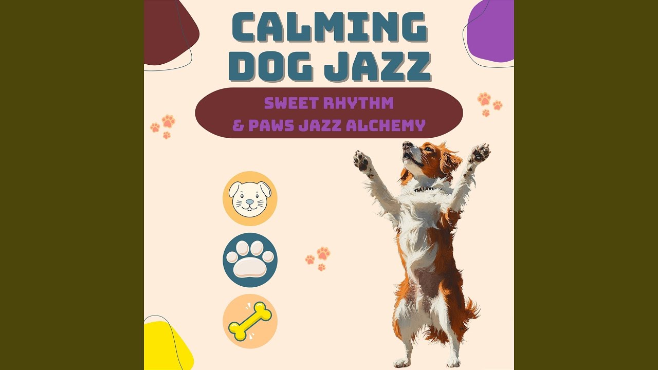 Groovy Jazz Tail Wag - YouTube