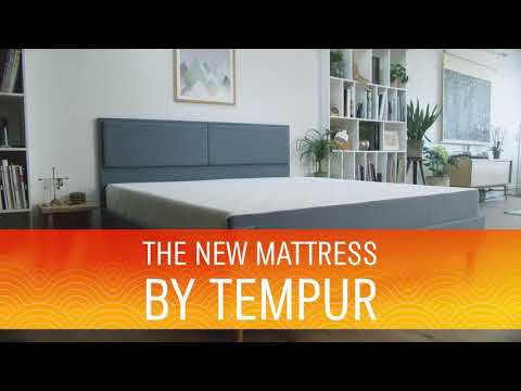 EASE by TEMPUR 20s
