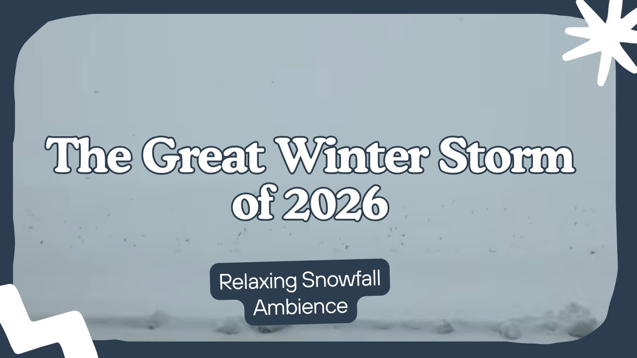 The Great Winter Storm of 2026 - Relaxing Snowfall Ambience! - YouTube