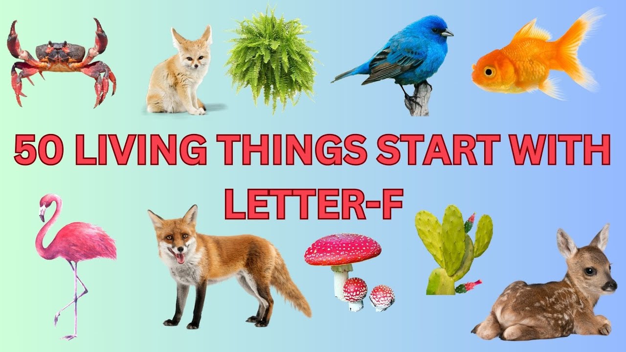 #50 LIVING THINGS START WITH LETTER F - YouTube