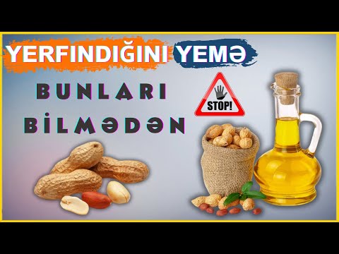 Hər Gün Yer Fındığı Yesəniz Nə Olar? Faydaları və Zərərləri