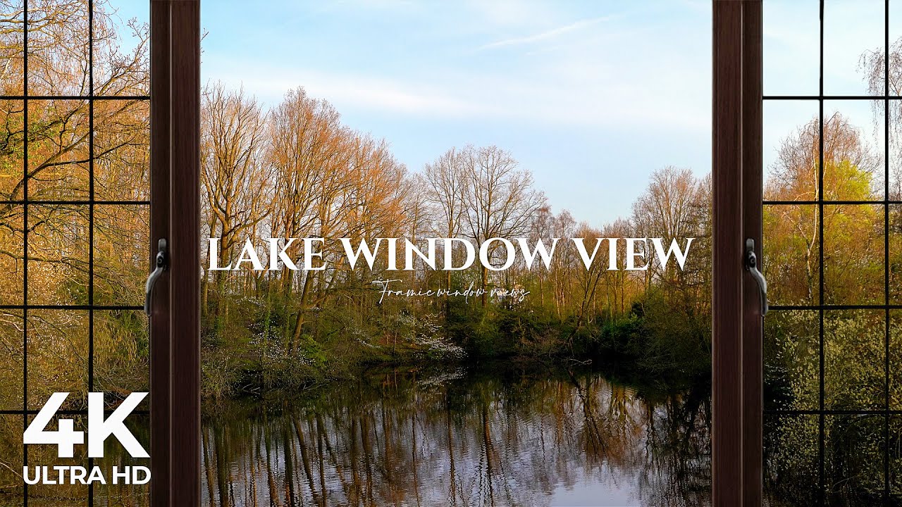4K lake window view with animals during sunset - Relaxing, Calming ...