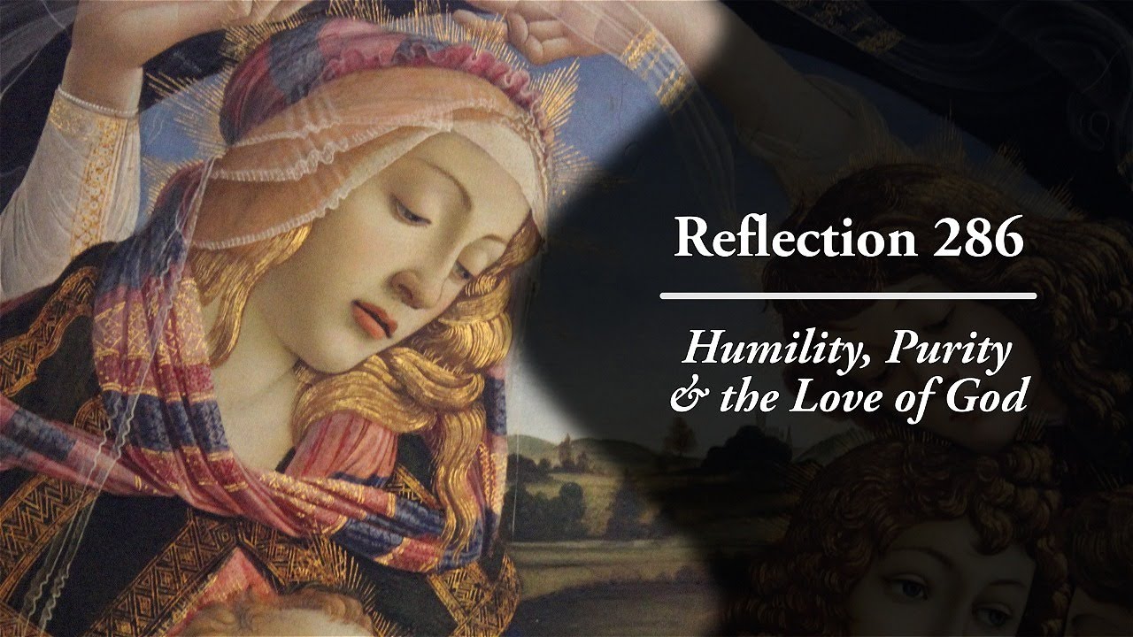 Reflection 286: Humility, Purity & the Love of God - YouTube