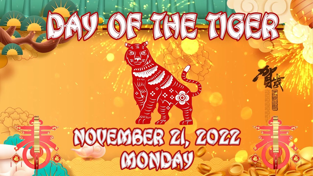 11/21/2022; Monday, Tiger by TONY SUVEGA - YouTube