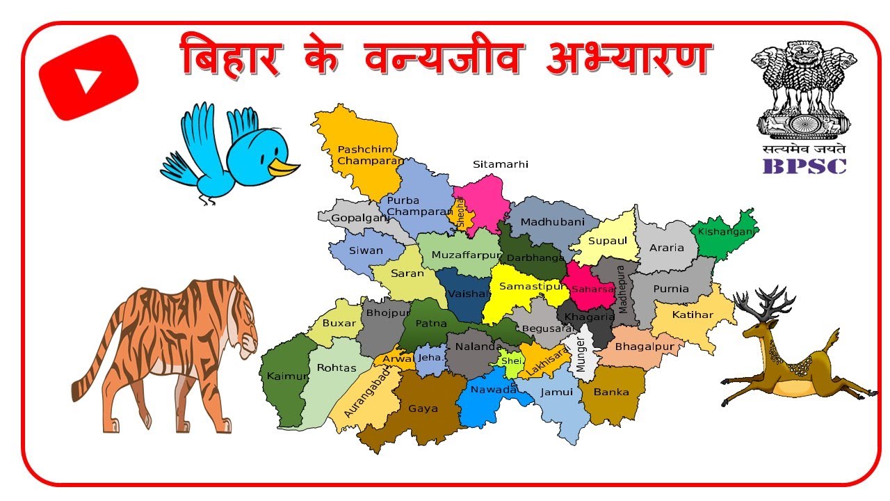 #बिहार के वन्‍य जीव अभ्‍यारण #wildlife Sanctuaries of #bihar - YouTube