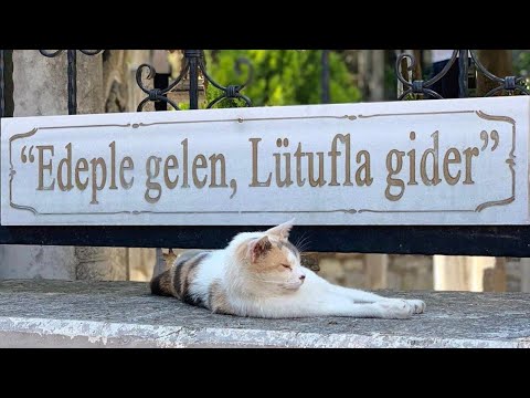 Aziz Mahmud Hüdayi Hz.nin nadir duyulan hikayesi..