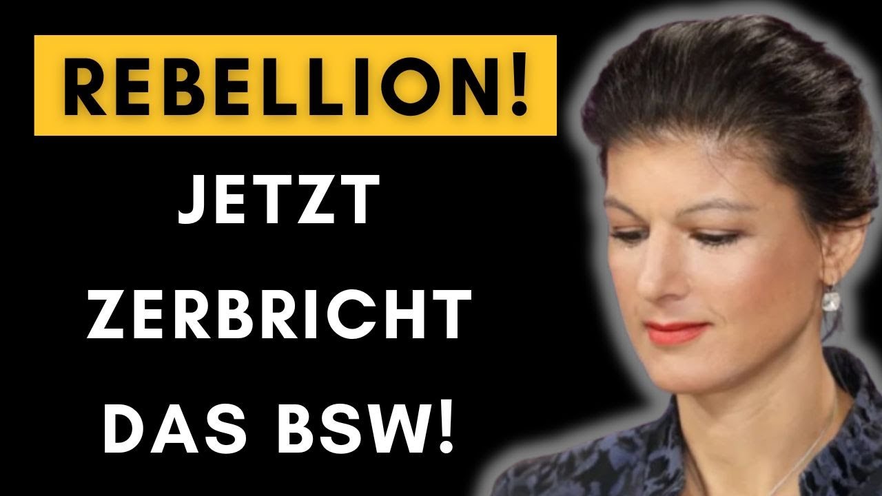 Erste Abspaltung! Hamburger gründen eigenen BSW Landesverband ohne ...