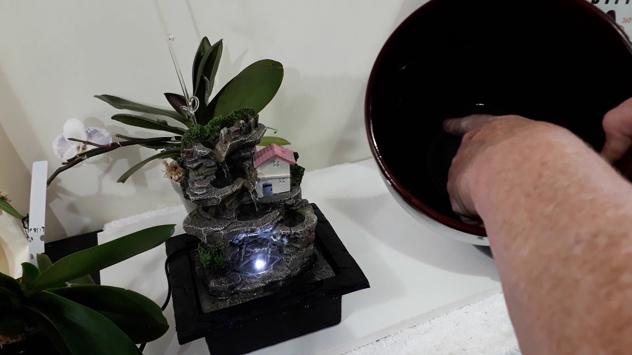 How to Create Humidity for Moisture Loving Orchids - YouTube