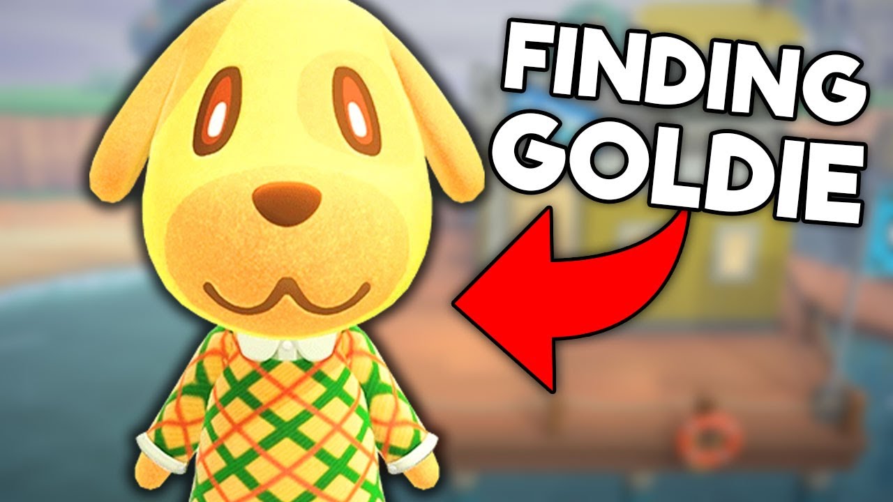 The Hunt for Goldie BEGINS - YouTube