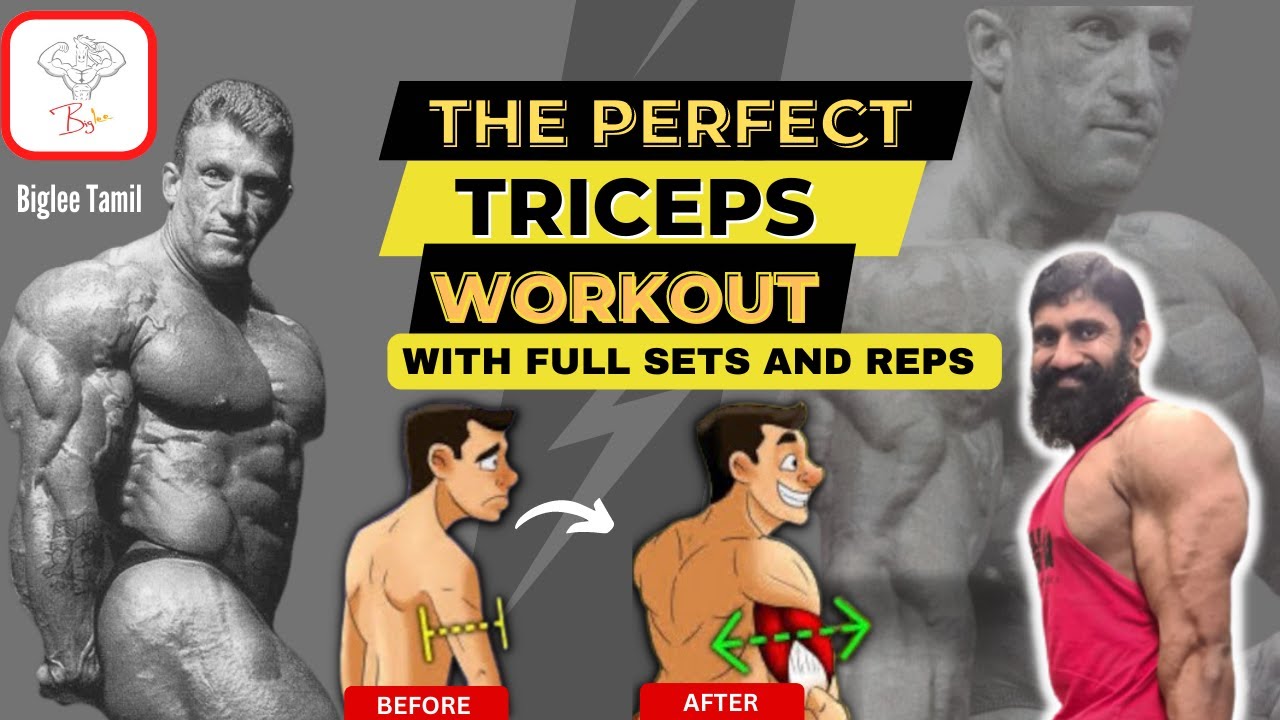 Perfect Triceps workout | Full workout with sets and reps | Biglee ...