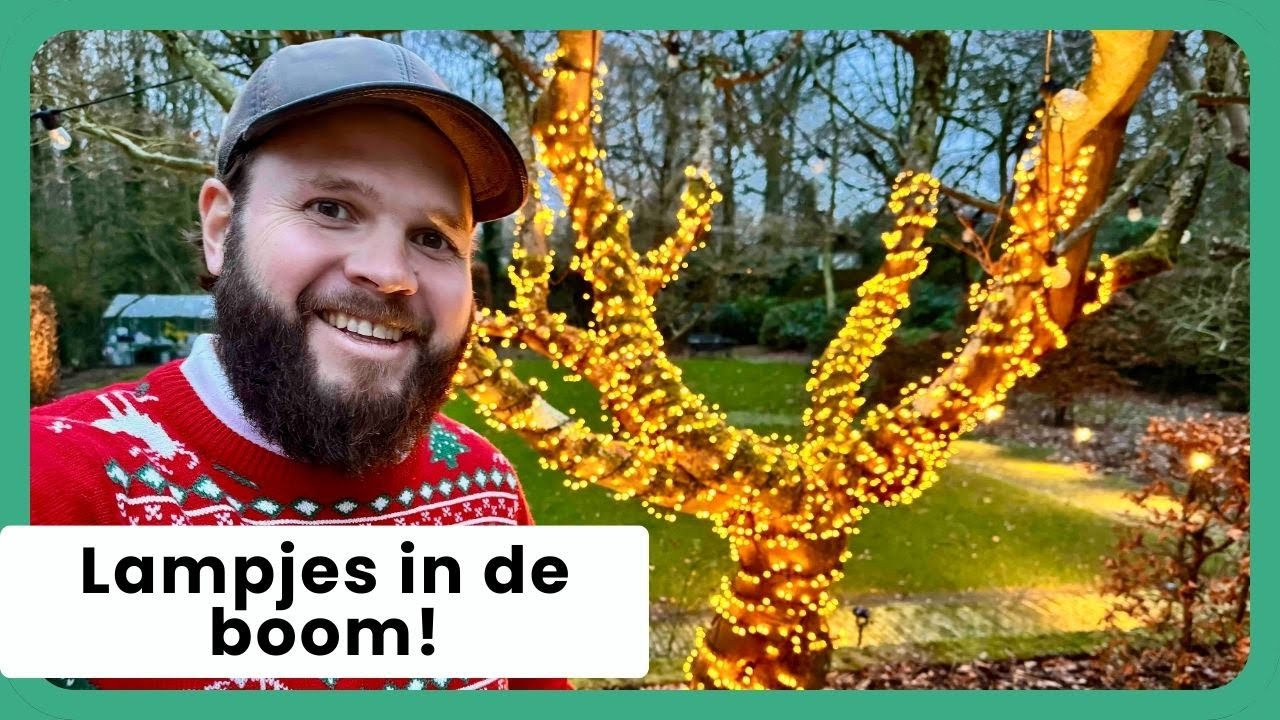 Kerstlampjes in de boom & Kerstwensen - YouTube
