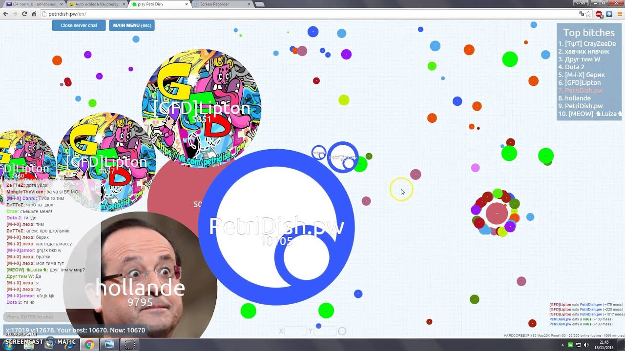 Petri Dish Agario