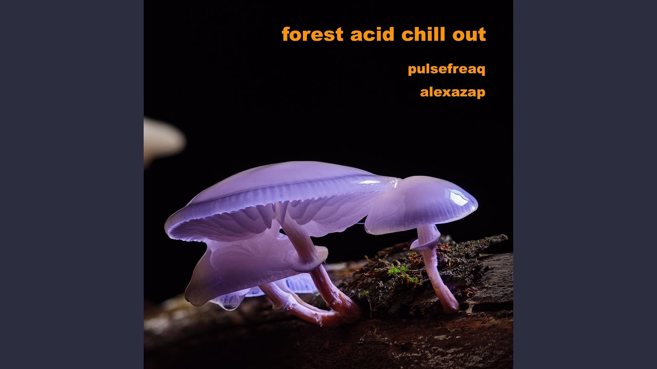forest acid chill out - YouTube