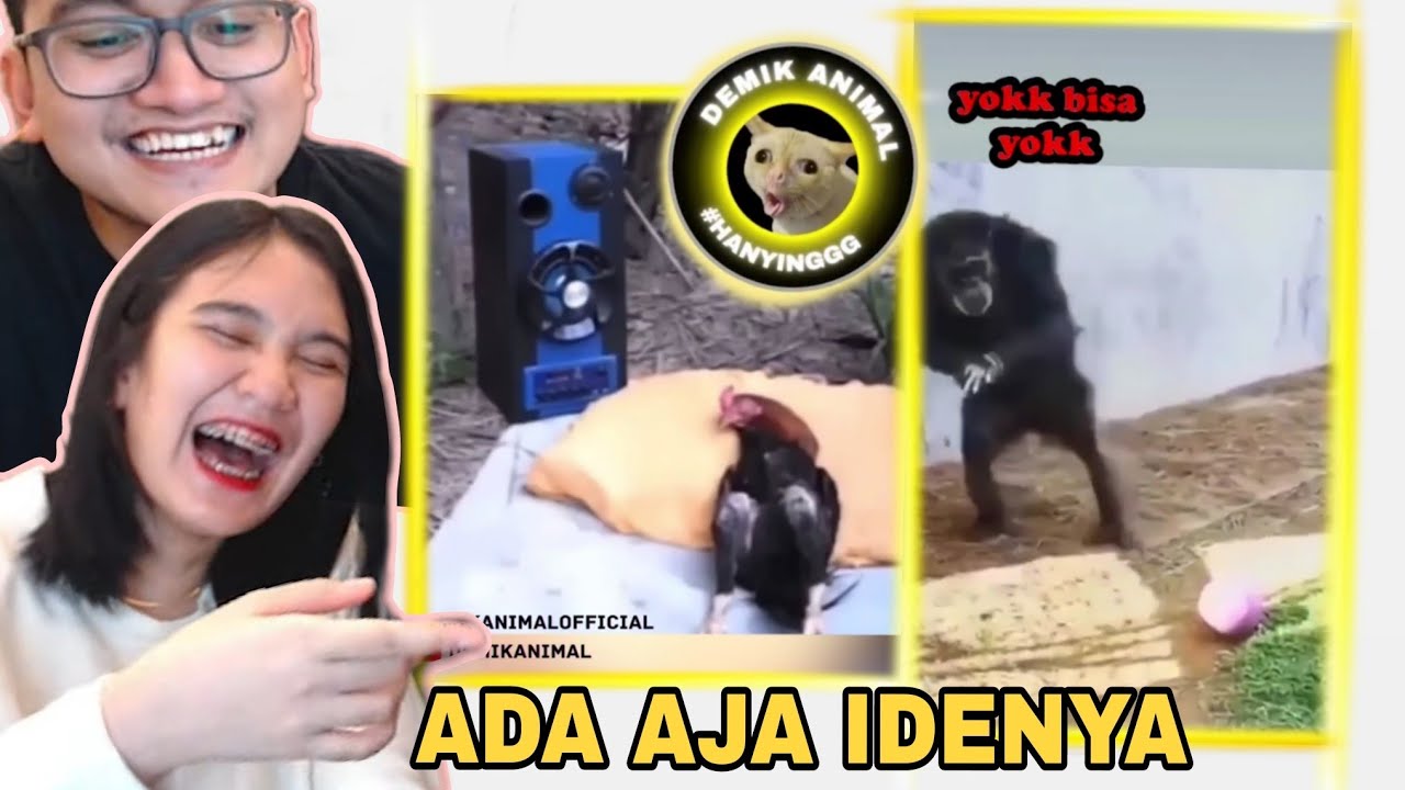 HEWAN HEWAN APA YANG KOCAK ? DEMIK ANIMAL WKWKWK - Reaction Demik ...