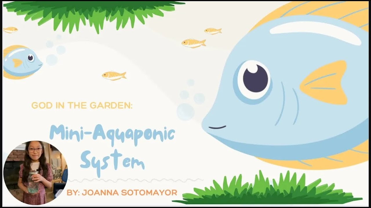 God in the Garden: Mini Aquaponics System - YouTube