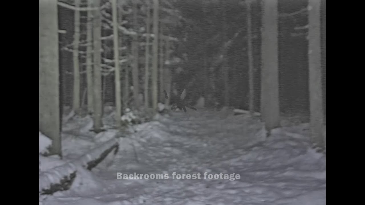 Backrooms forest footage - YouTube