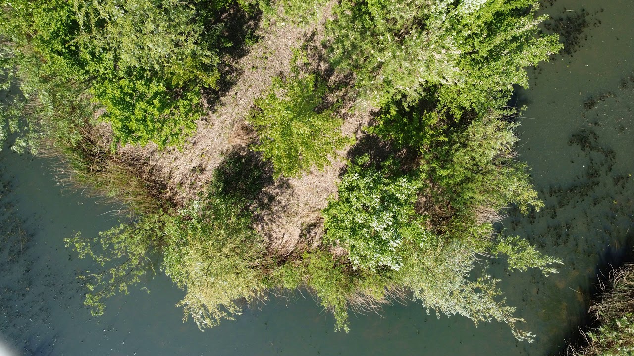 Rhoon Portland Vliegen en varen - YouTube