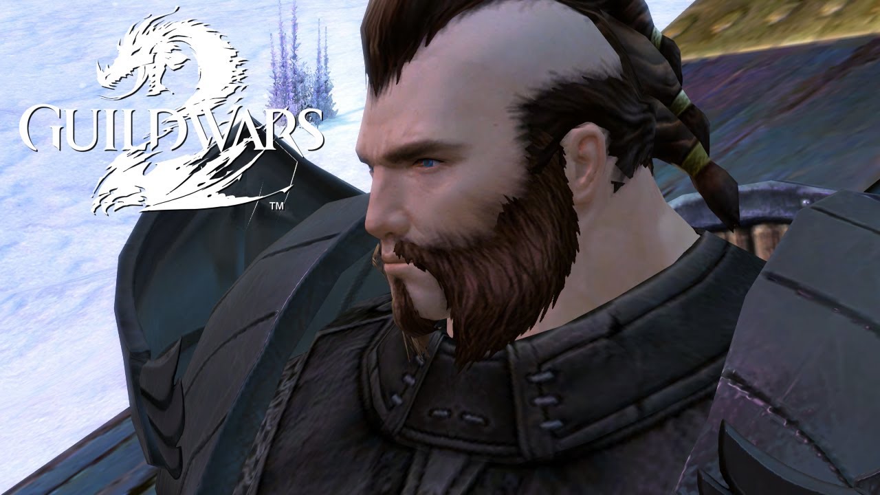 Guild Wars 2 - Norm Guardian #3 - YouTube