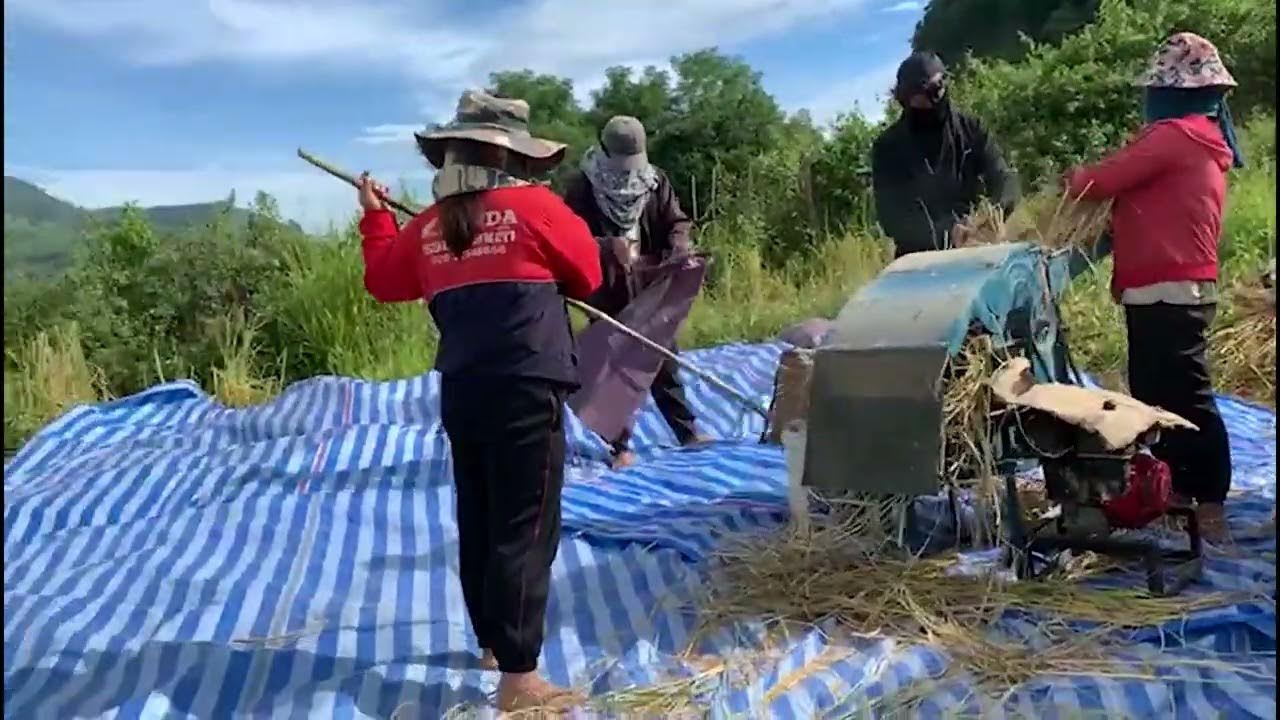 Hnub no mus saib peb ntau nplej nawb khwv thiab los zem kawg - YouTube