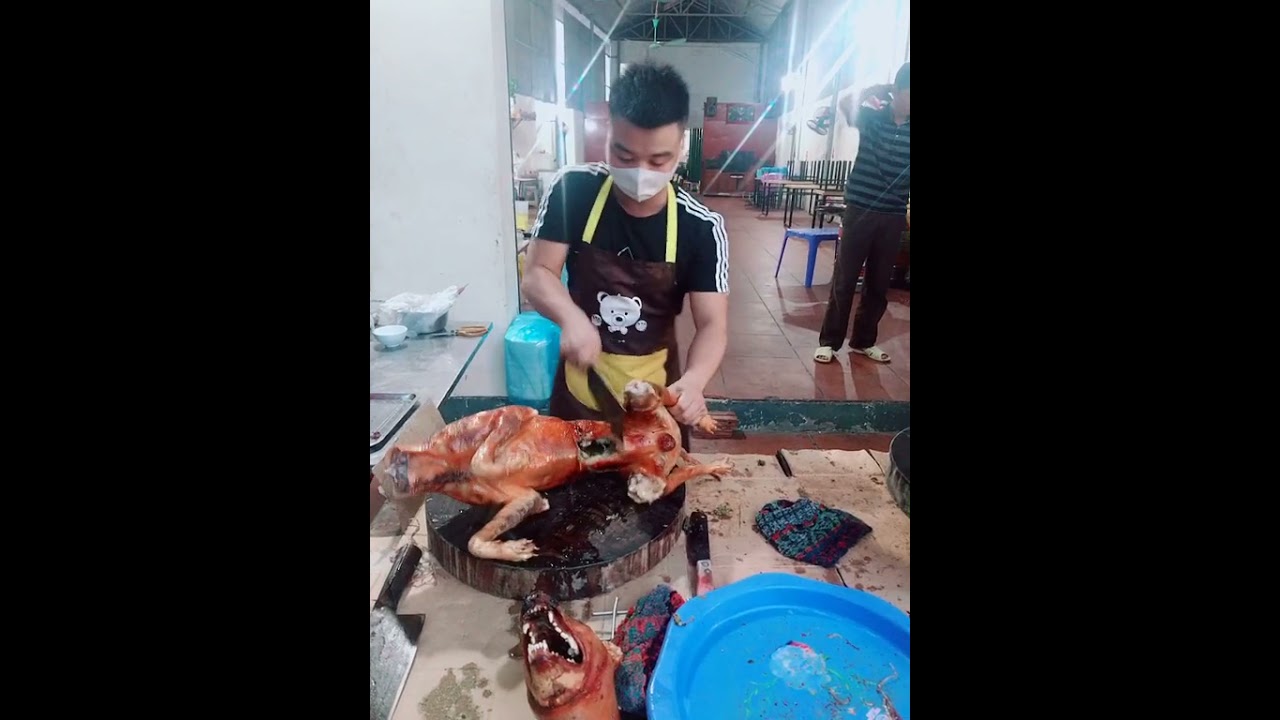cooking dog 🐶🐕 - YouTube