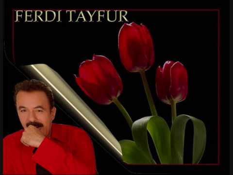 Ferdi Tayfur - Aklimi basimdan aldin