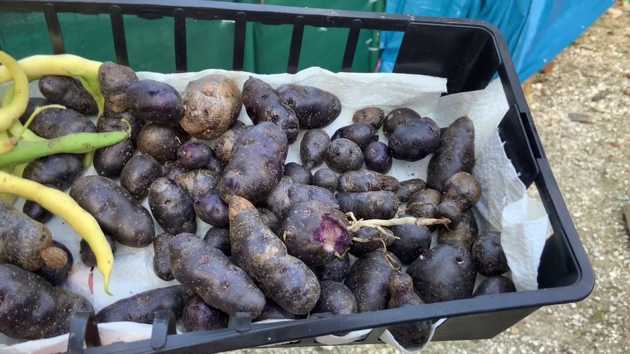 Logs, Tatties And Plum Tree, Part 2 - YouTube