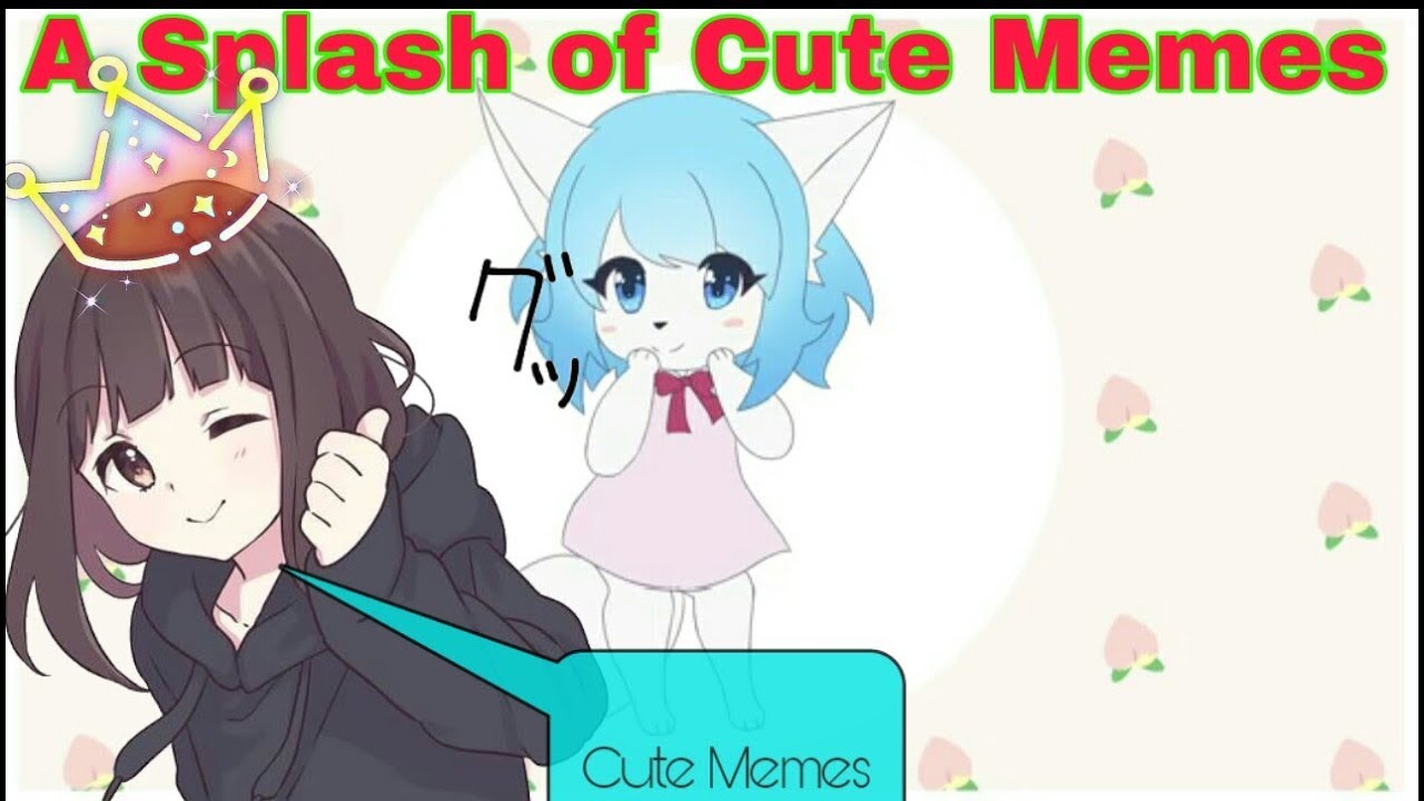 Animated Memes #7 | Wolfychu , Sweetotoons , Stariaat | Reaction - YouTube