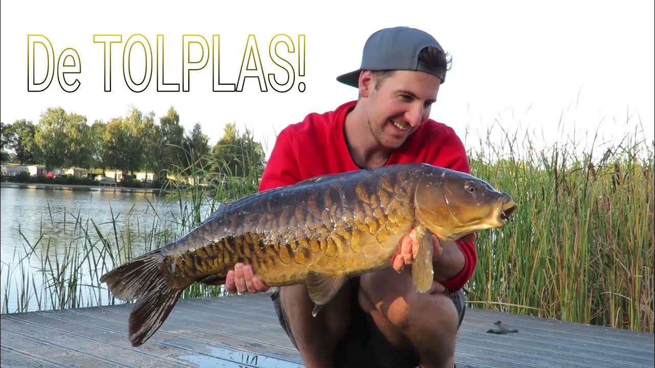 #151 - KARPERVISSEN op VAKANTIEPARK de TOLPLAS! Robert Grootenboer ...
