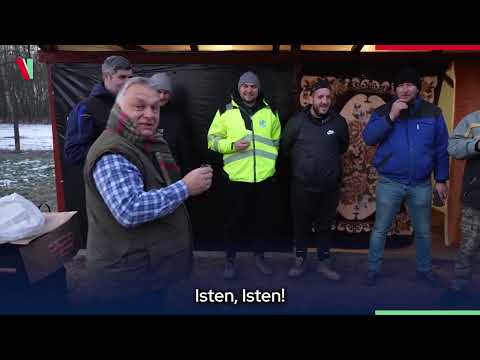 Viszlát, röfi! (2022. január)