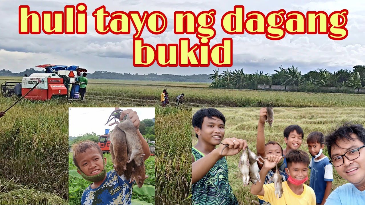 Dagang Bukid Hunting+Gawa ng pugad ng bibe.. #HappyFarmer#72 - YouTube