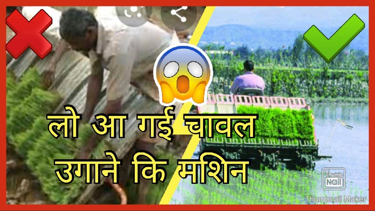 Manual Rice Planter | Manual Paddy Transplanting Machine - YouTube