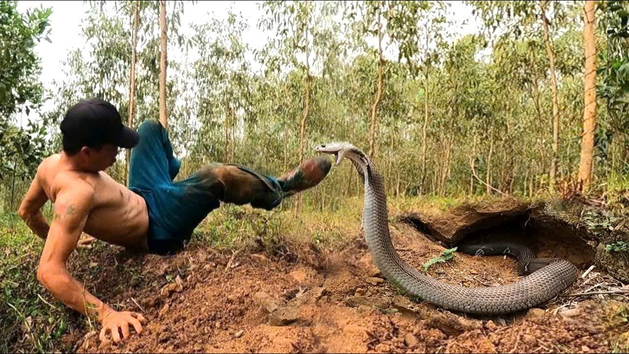 Close-up of the dramatic confrontation between two hunters and a group ...