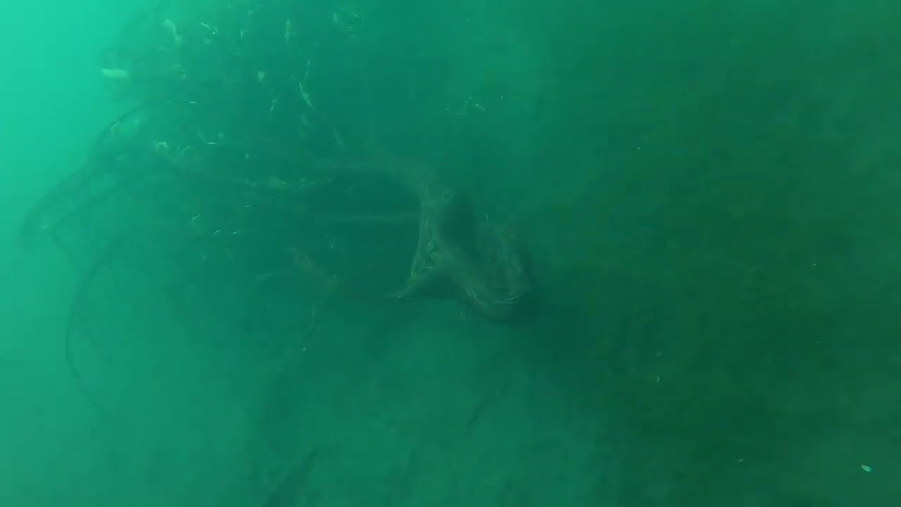 Scuba Diving Saint Lawrence River - Drift Diving w/ Bad Jimmy Vol. III ...