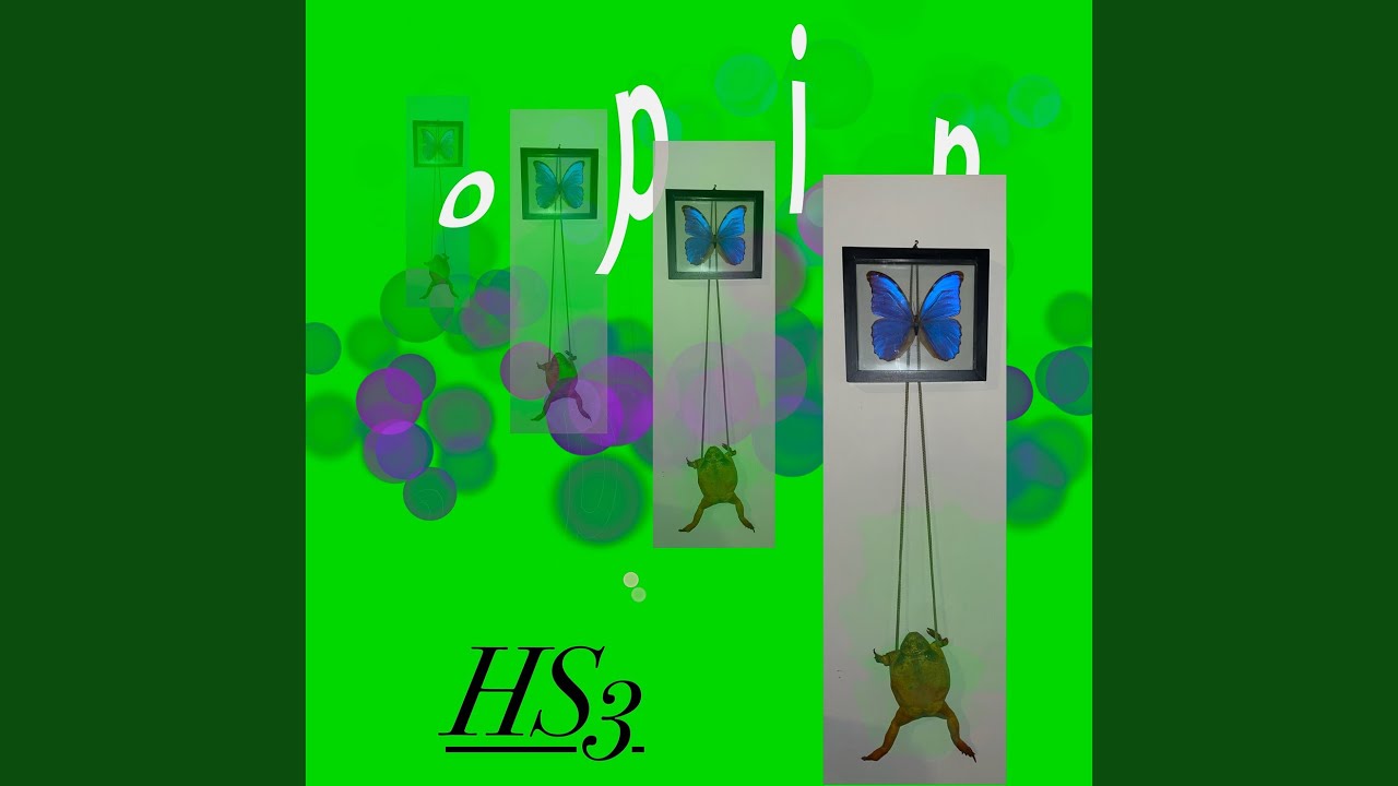 Hs3 Youtube