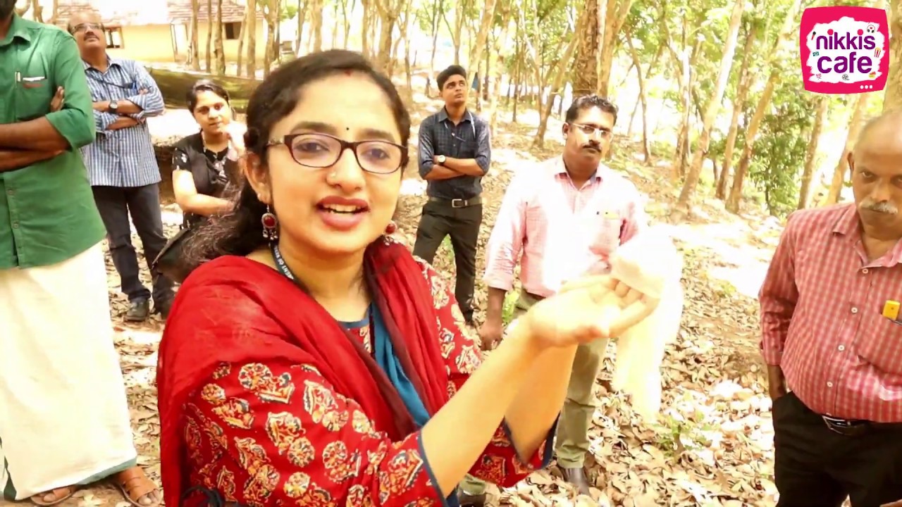 Dr. Divya S Iyer IAS ഉം കേരളത്തിലെ തൊഴിലുറപ്പ് പദ്ധിതിയും | പ്രവ ...