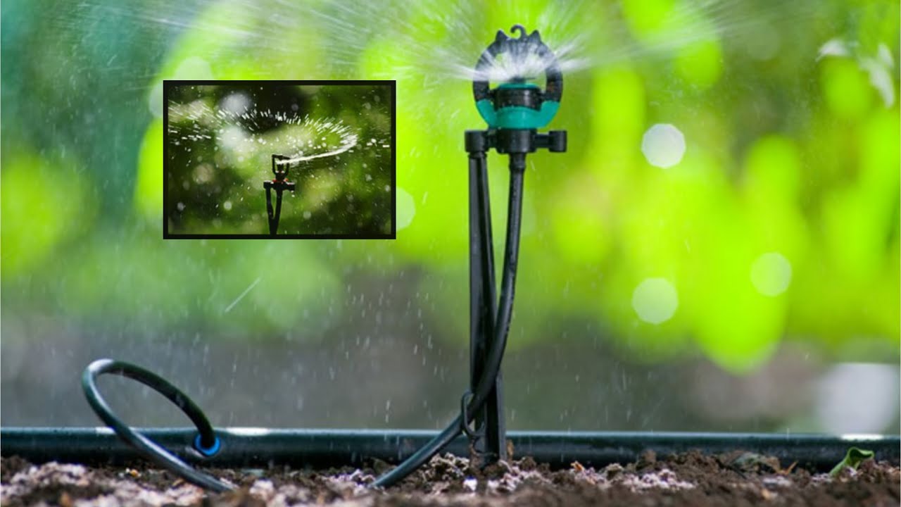 Working of micro sprinkler system - YouTube