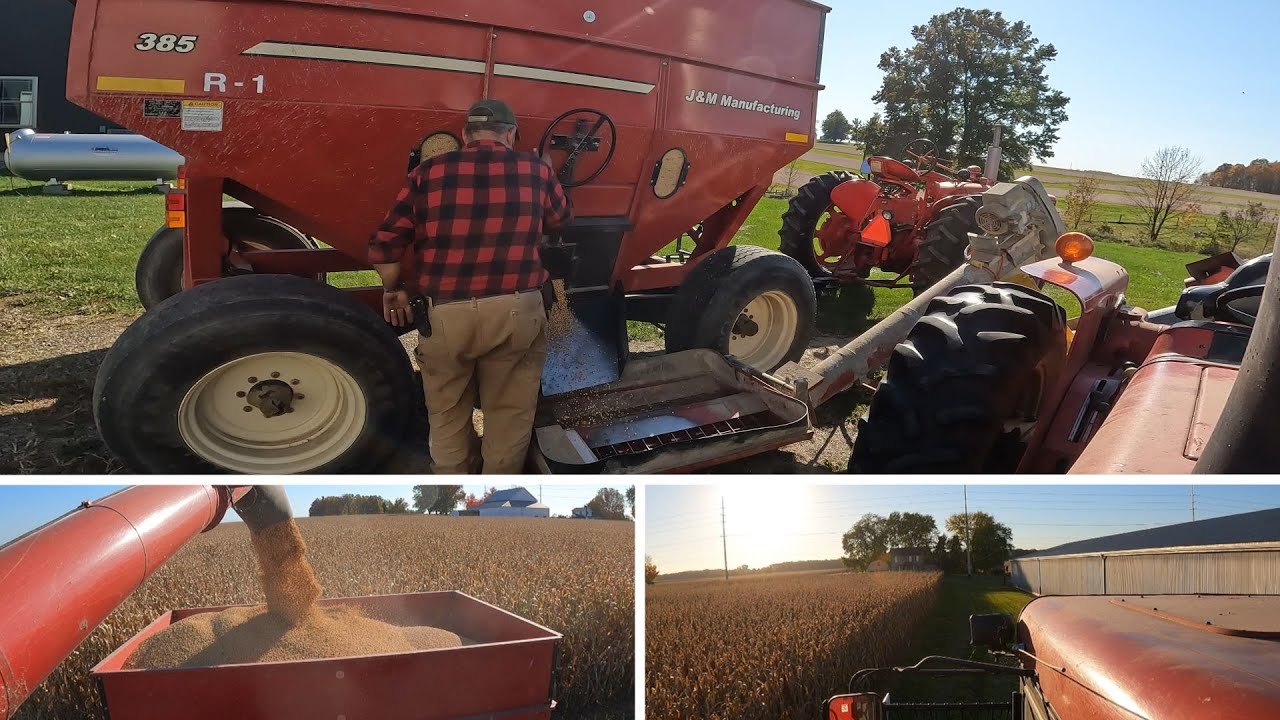 Bean Bonanza - YouTube