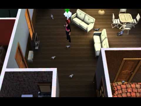 Sims 3 Late Night: How to Place Your Own Pigeons! - YouTube
