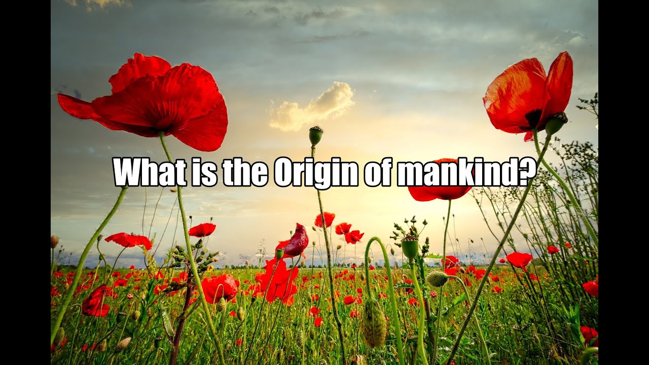 What is the Origin of Mankind? - YouTube