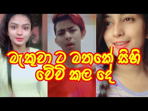 New Tik Tok Srilanka | ‌මැකුවා ට  මතකේ සිහිවේ වී කල දේ - Sha Tv