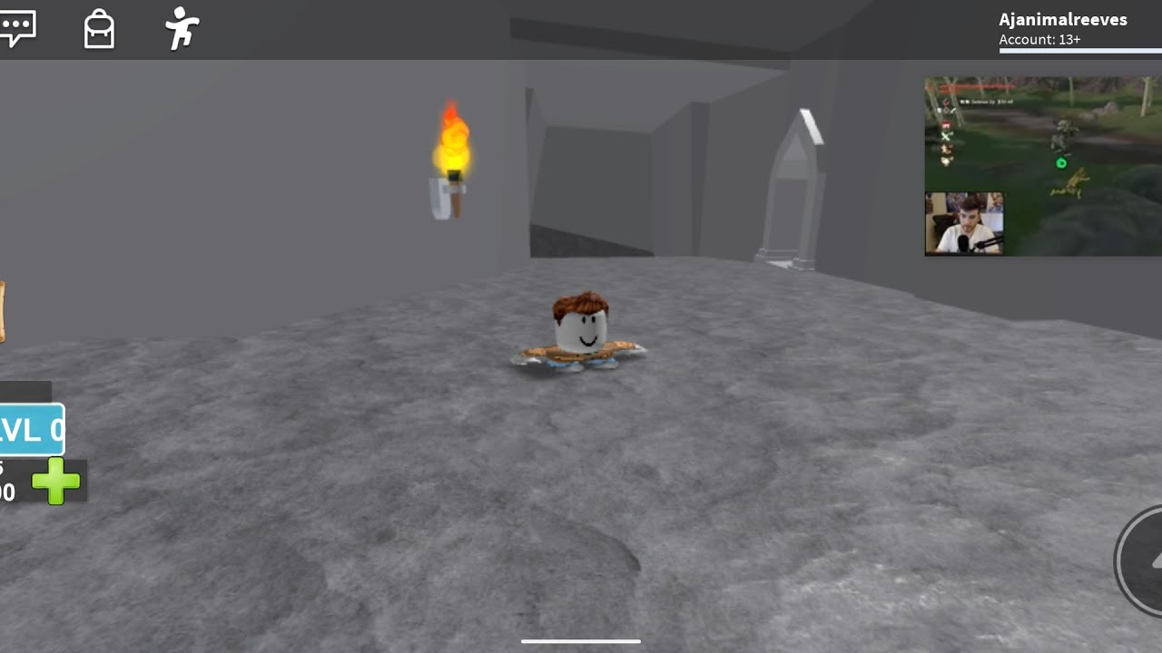 Zelda Roblox perhaps?! Roblox castle dungeon obby/rpg - YouTube