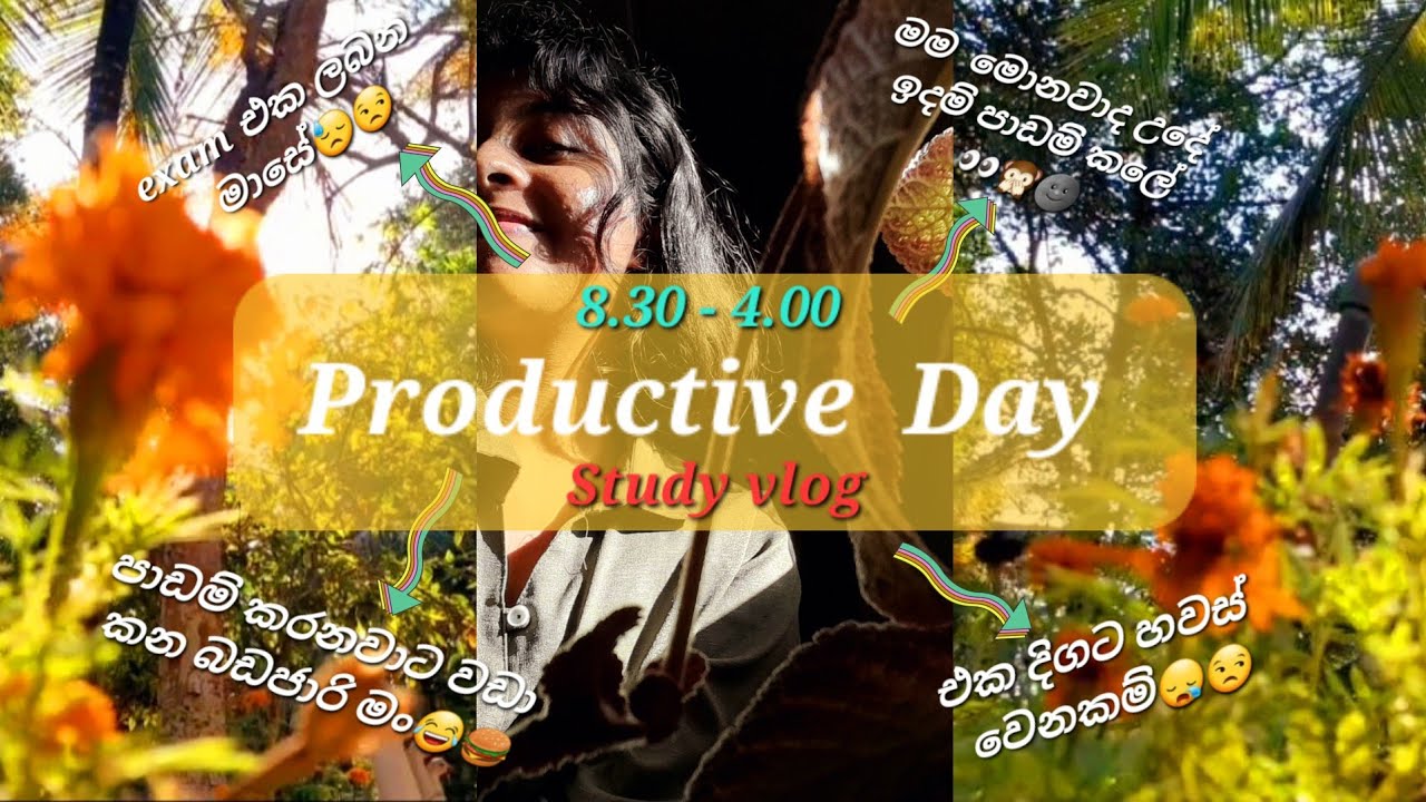 අද මම පාඩම් කරපු විදිය♥🍃📚 productive day study vlog||🍃#studymotivation #study_vlogs #trending # ...
